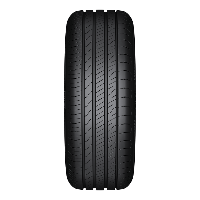 Goodyear EfficientGrip Performance 2 205/55 R16 91H